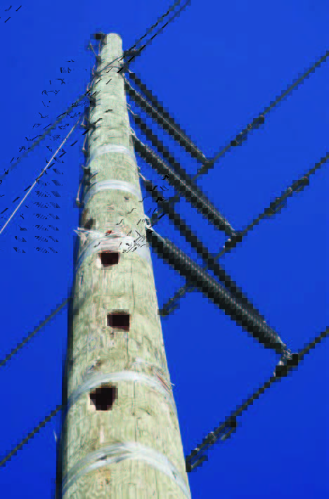 Composite Utility Poles: A High Performance Solution - Resilient Structures