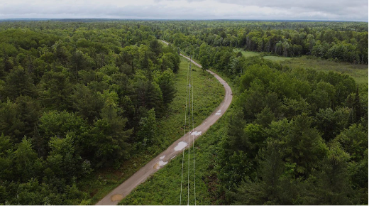 Woodpeckers Attacking Poles Leading Cause of Pole Replacement at Hydro ...