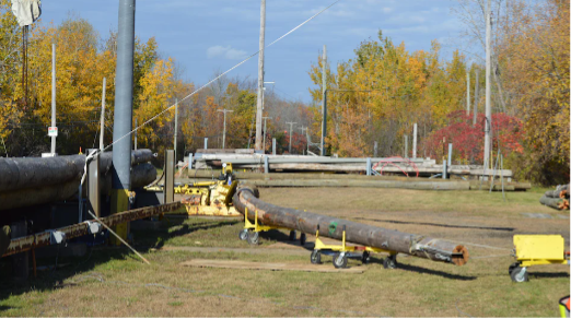 Woodpeckers Attacking Poles Leading Cause of Pole Replacement at Hydro ...
