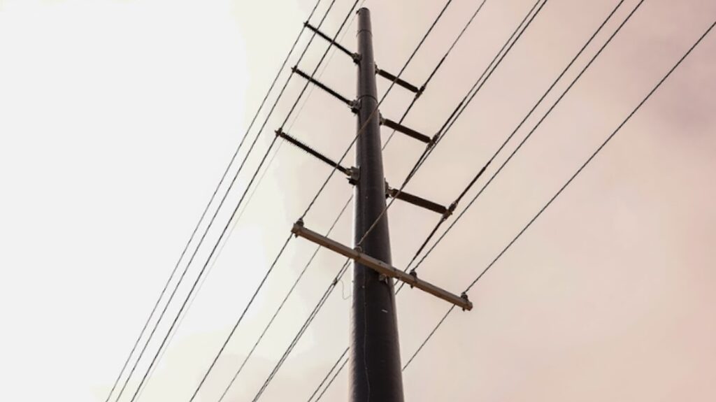 Leadership - Resilient Structures