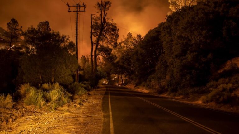 Leading Utility Pole Manufacturers | Resilient Structures