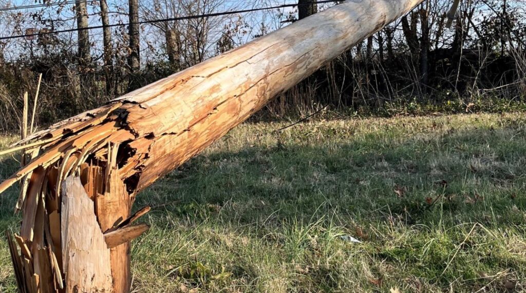 Utility Pole Engineering Services | Resilient Structures